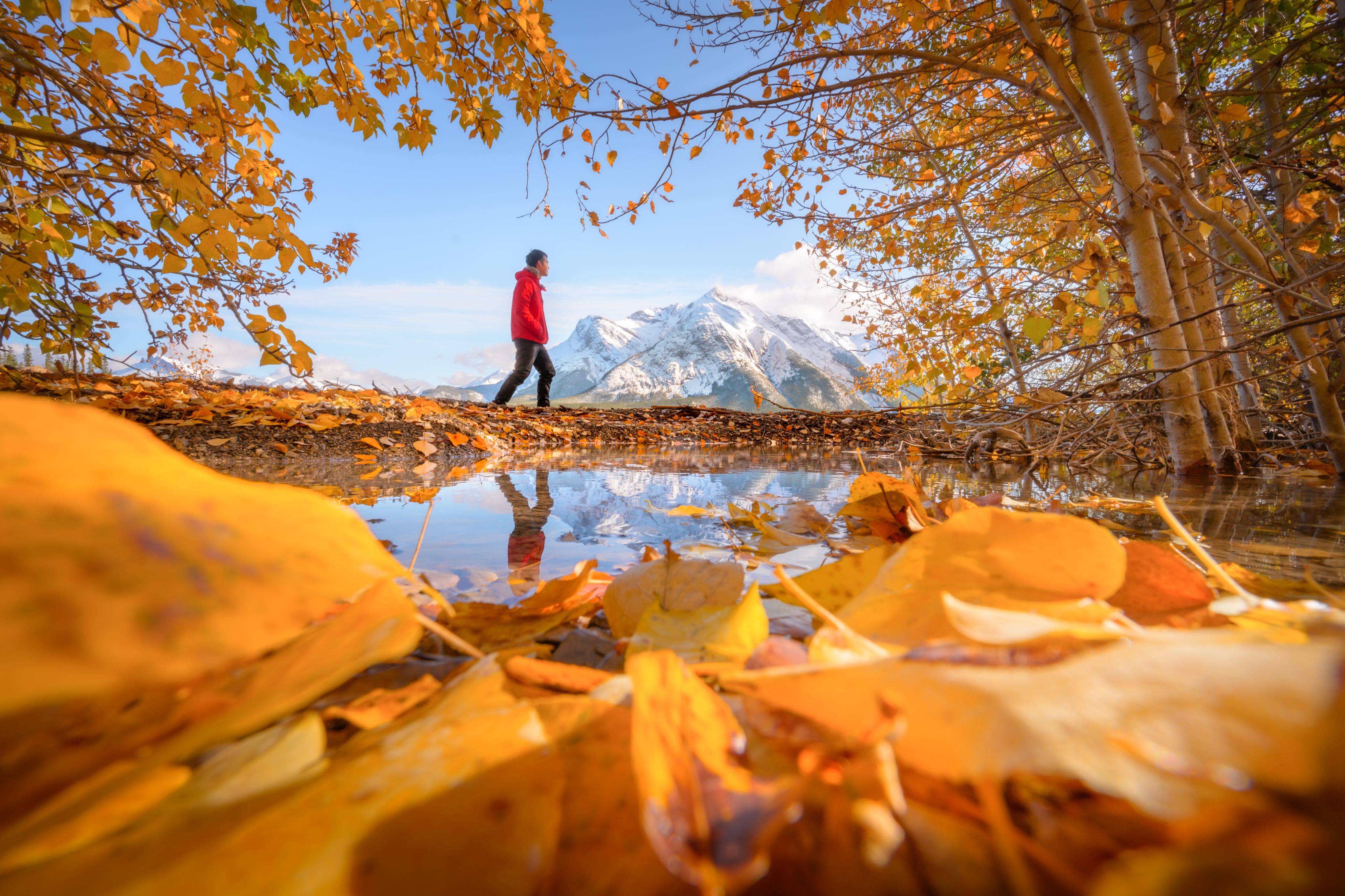 Exploring the Seasons